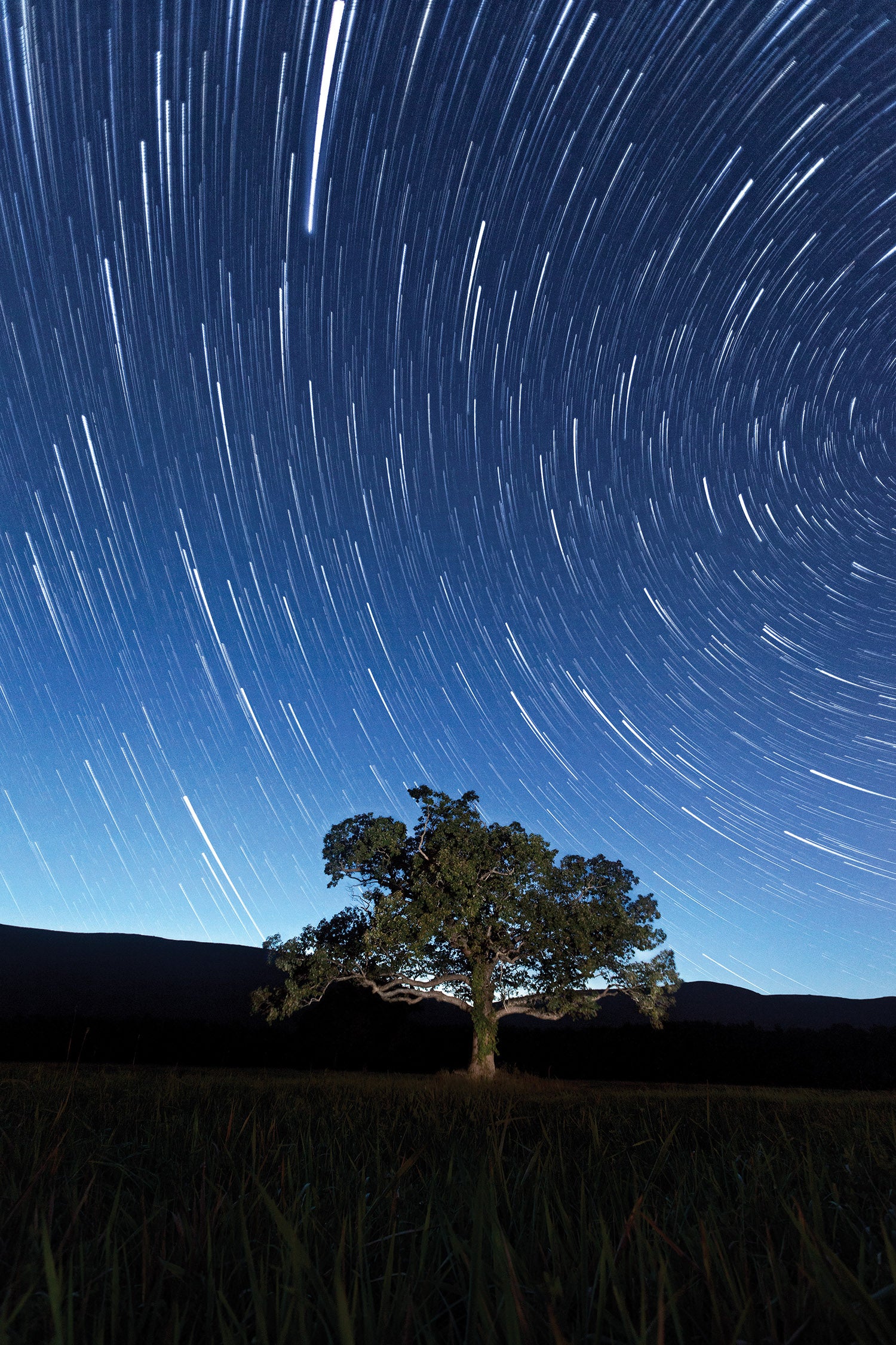 How embracing the unexpected will make you a better photographer