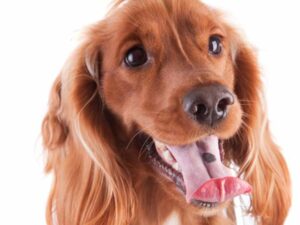 The Top 10 Photography Lighting Facts You Should Know | Popular Photography