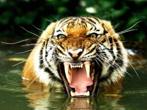 The Top 10 Photography Lighting Facts You Should Know | Popular Photography