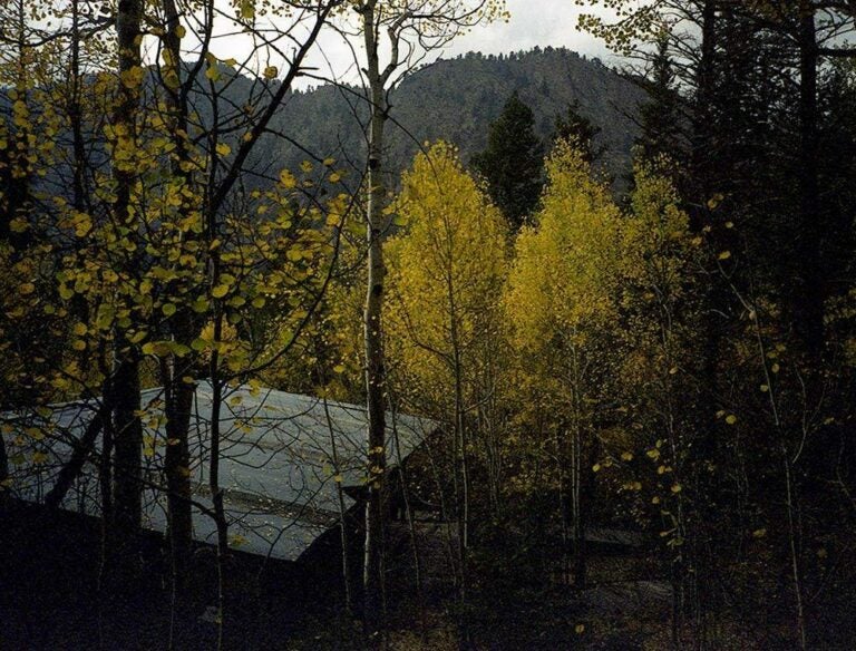 The complete guide to shooting expired film | Popular Photography