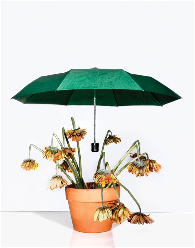 Five Under 20: Young Photographers You Should Know | Popular Photography