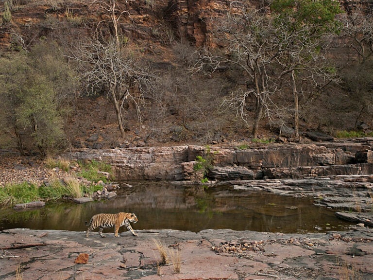 John Isaac: The Passion of a U.N. Photographer | Popular Photography