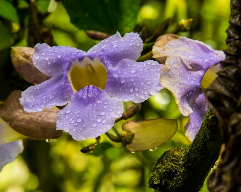 Mentor Series: Costa Rica | Popular Photography