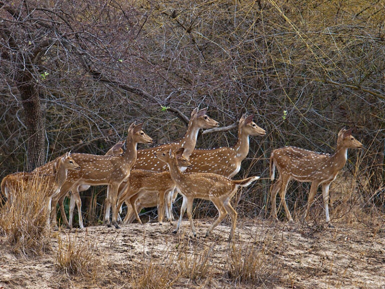 John Isaac: The Passion of a U.N. Photographer | Popular Photography