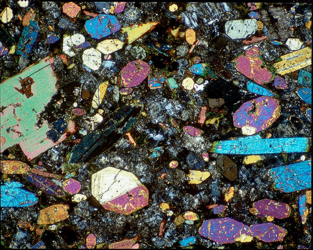 An introduction to microscope photography | Popular Photography