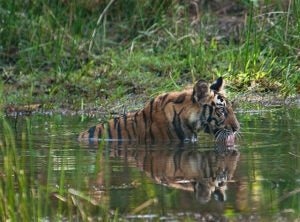 John Isaac: The Passion of a U.N. Photographer | Popular Photography