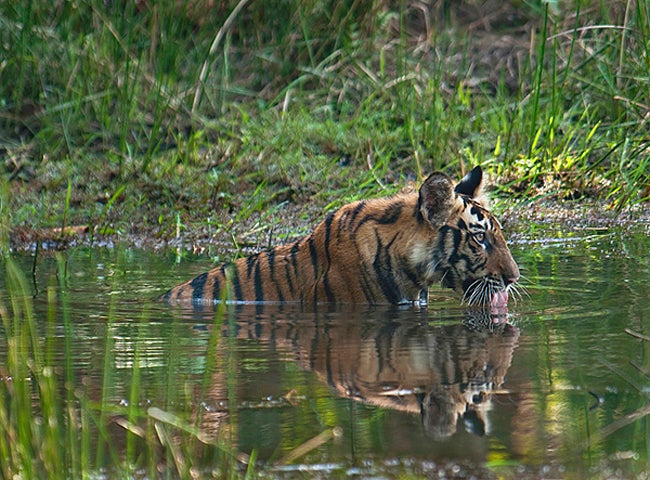 John Isaac: The Passion of a U.N. Photographer | Popular Photography