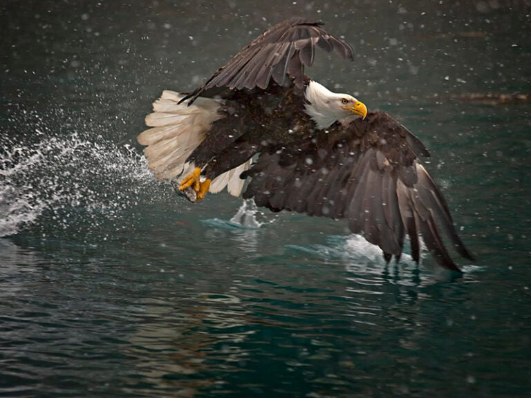 John Isaac: The Passion of a U.N. Photographer | Popular Photography