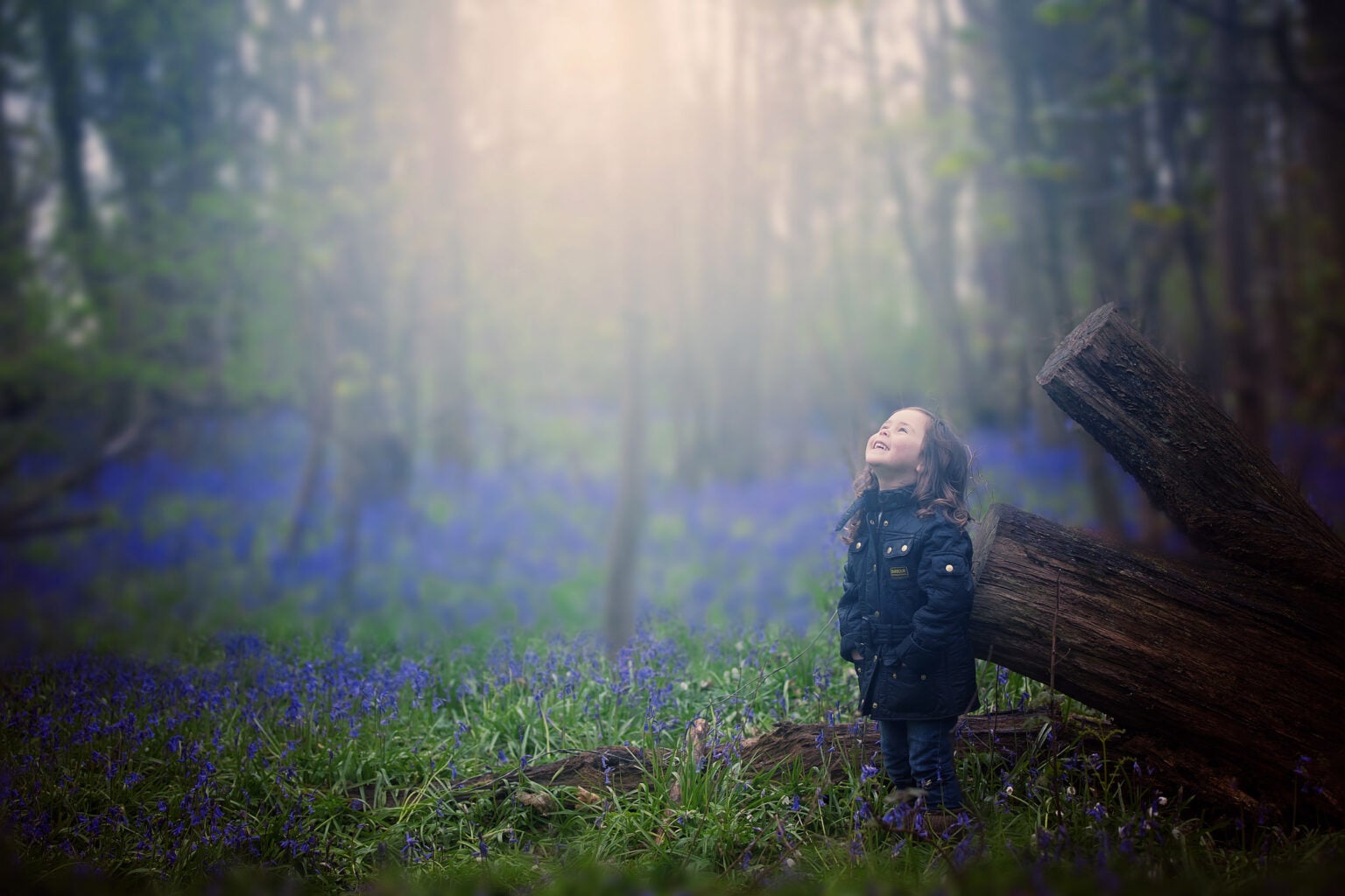 June 2016 | Popular Photography