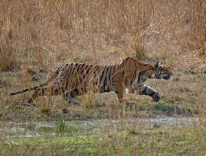 John Isaac: The Passion of a U.N. Photographer | Popular Photography