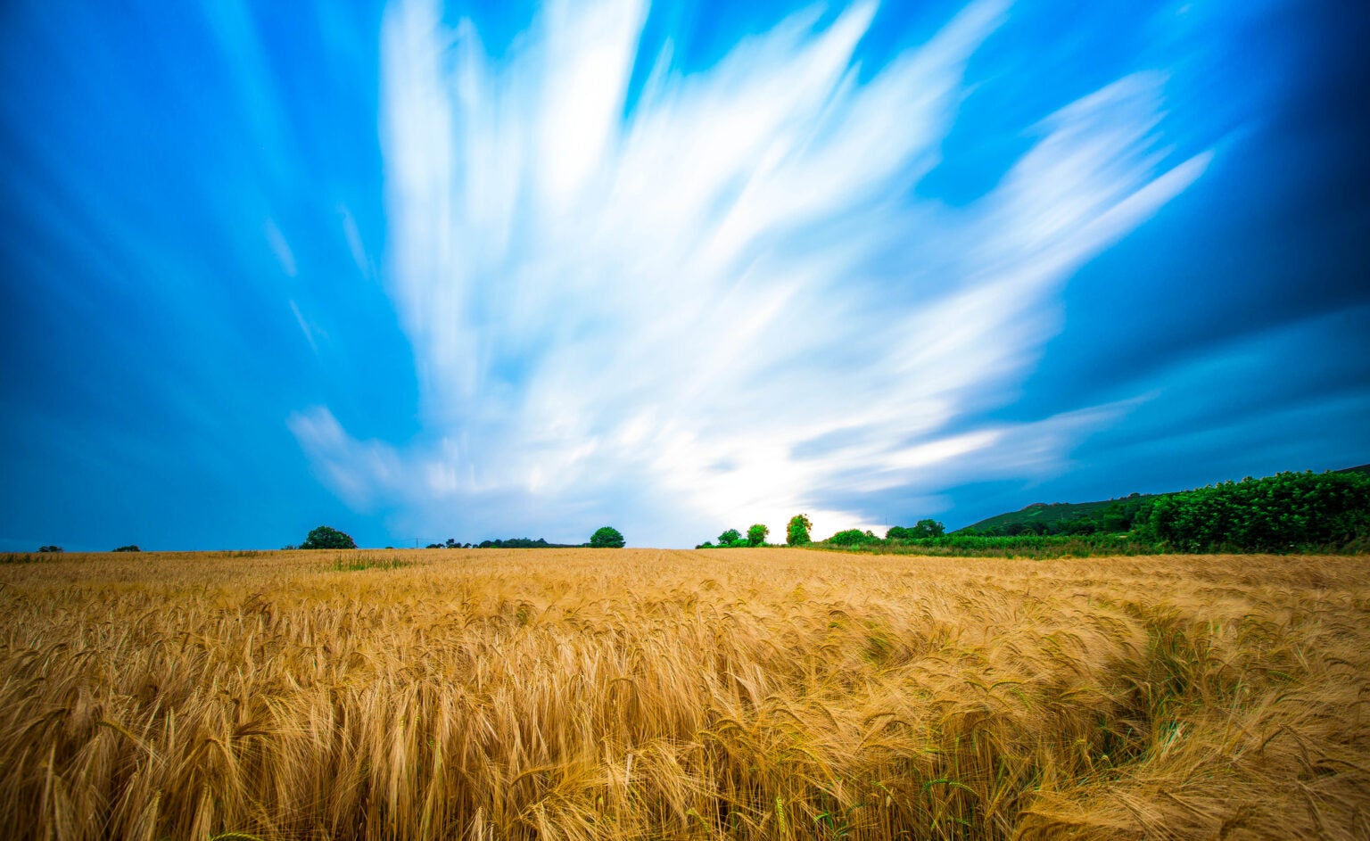 July 2015 | Popular Photography