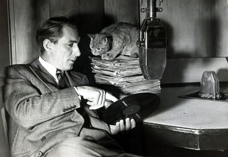 Vintage photos of cats prove that felines have a timeless style.