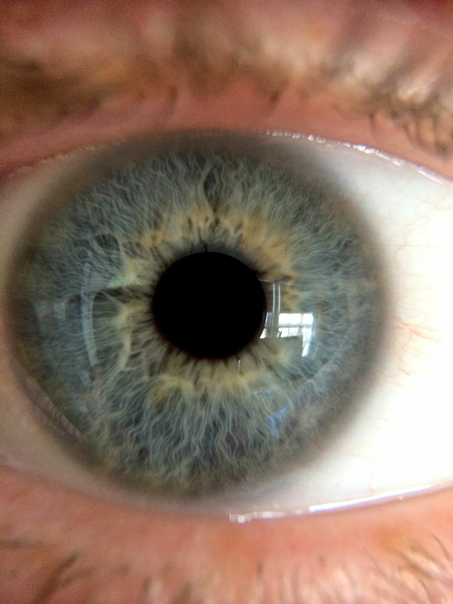 Review: Olloclip 3-in-1 Macro iPhone Camera Lens | Popular Photography