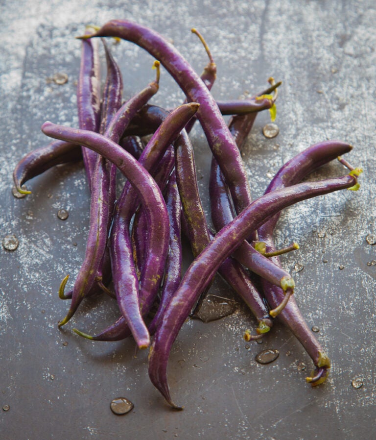 Tips From A Pro Shoot Better Food Photos With Any Camera