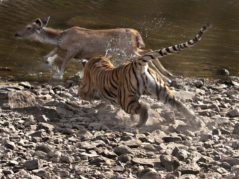 John Isaac: The Passion of a U.N. Photographer | Popular Photography