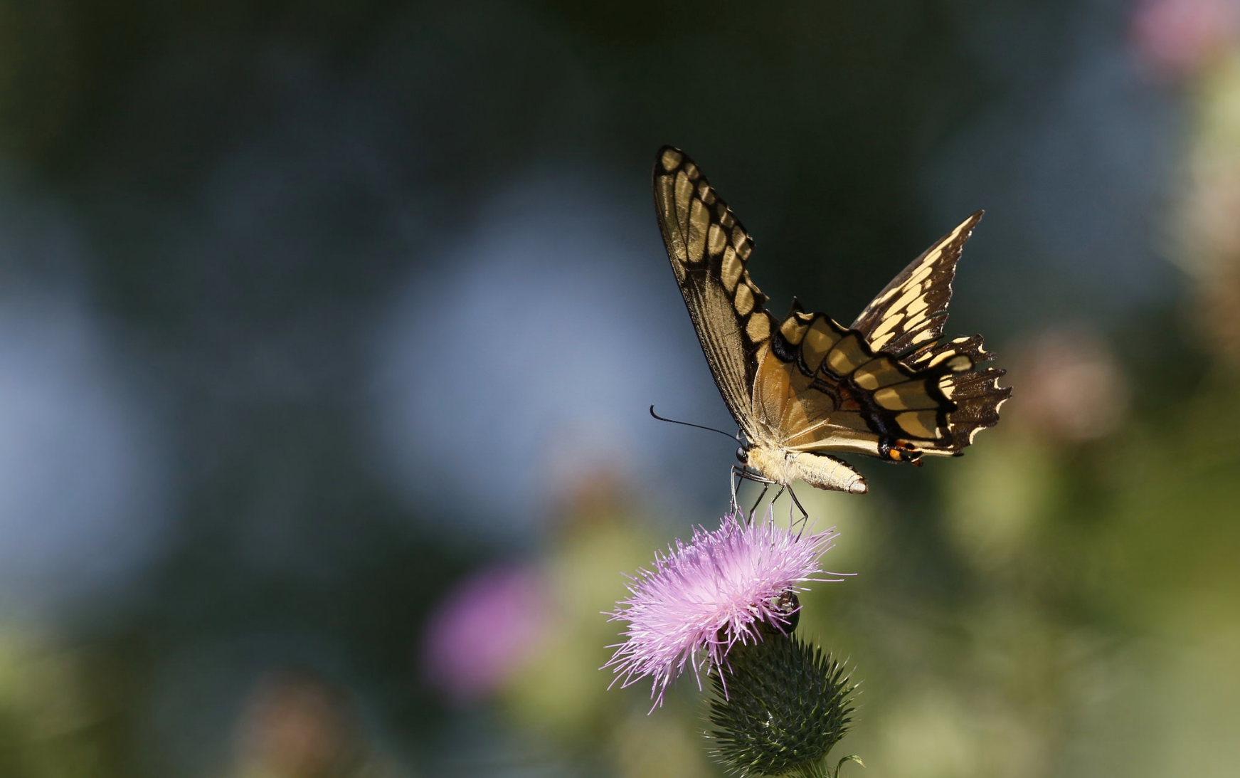 August 2016 | Popular Photography