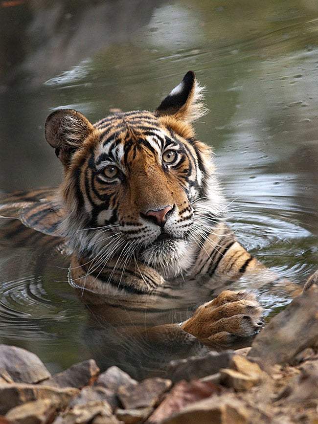 John Isaac: The Passion of a U.N. Photographer | Popular Photography