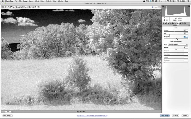 Software Workshop: Fake Infrared Photography Using Adobe Camera Raw
