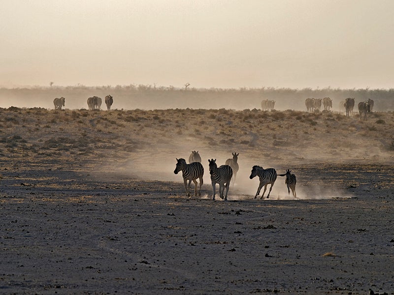 John Isaac: The Passion of a U.N. Photographer | Popular Photography