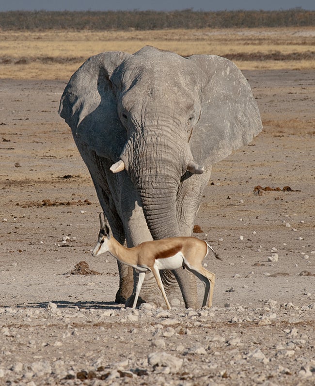 John Isaac: The Passion of a U.N. Photographer