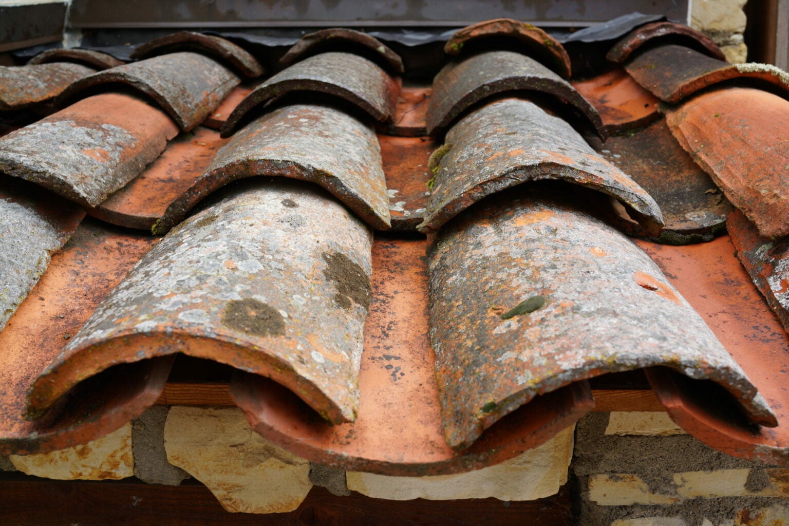 Camera Test: Sony Cyber-shot RX1 Full-Frame Advanced Compact