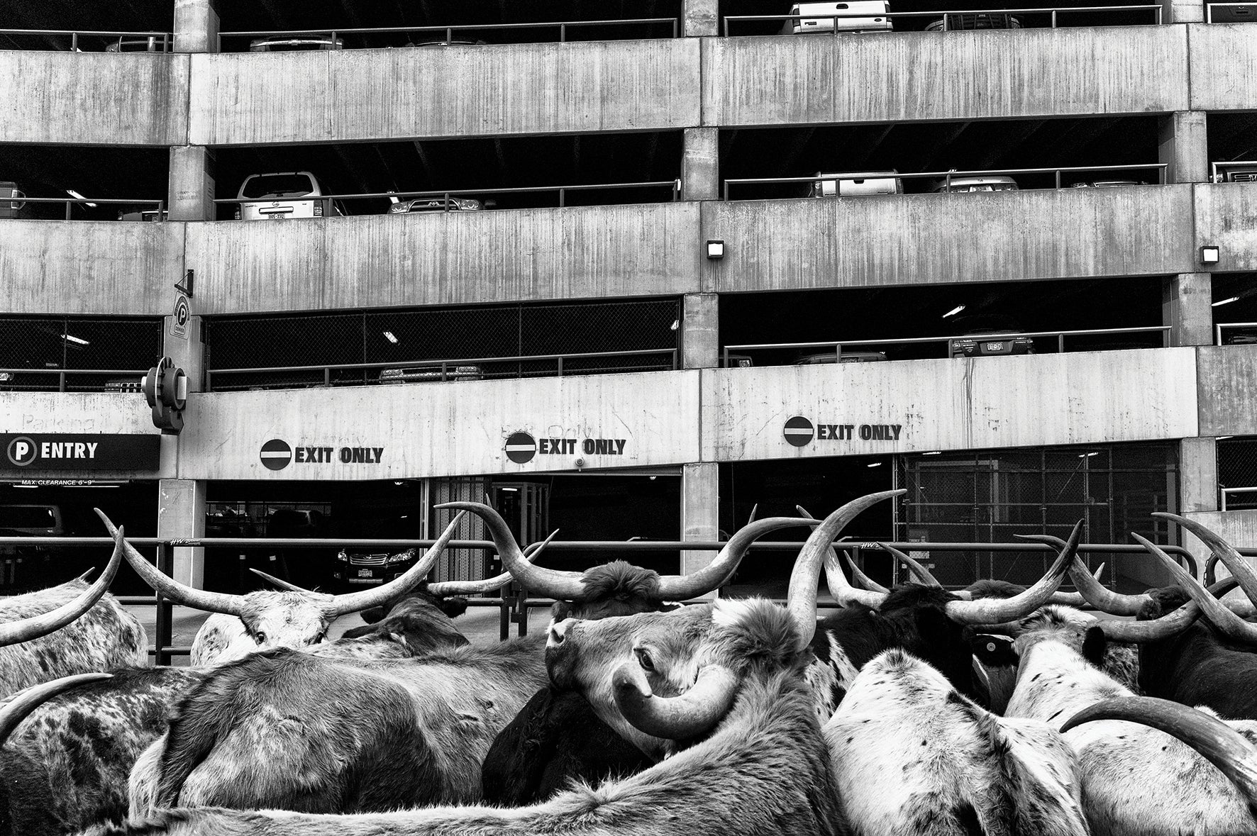 How professional photographers take snapshot photos | Popular Photography