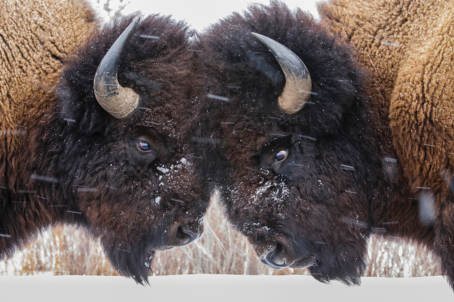 The Best National Parks For Photography | Popular Photography