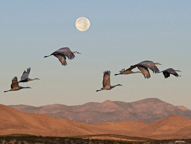 John Isaac: The Passion of a U.N. Photographer