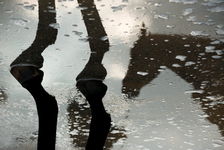 I, Photographer: Sam English Photographs Horses | Popular Photography