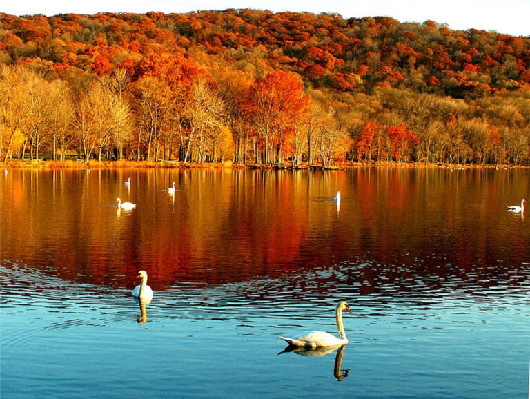 How To Take Great Fall Photographs | Popular Photography