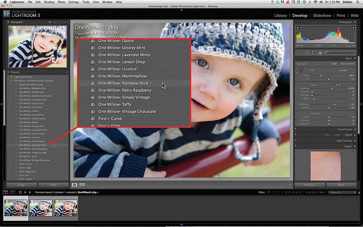 Software Workshop: Process Raw Photos Faster Using LightRoom Presets