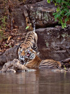 John Isaac: The Passion of a U.N. Photographer | Popular Photography