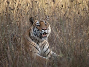 John Isaac: The Passion of a U.N. Photographer | Popular Photography