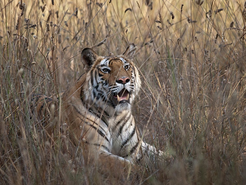 John Isaac: The Passion of a U.N. Photographer | Popular Photography