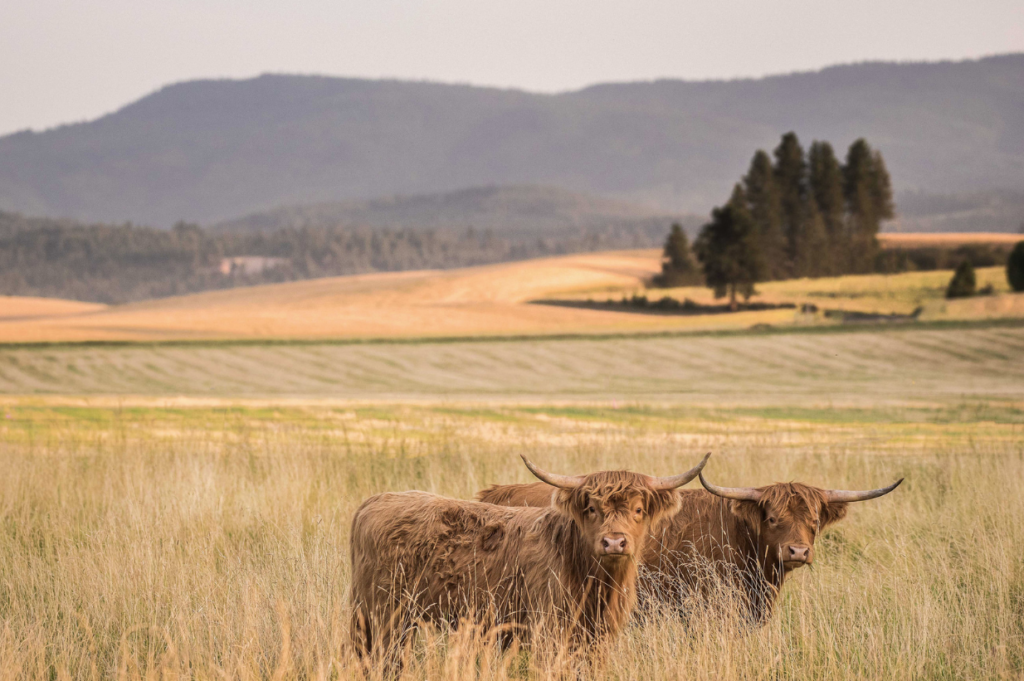 August 2016 | Popular Photography