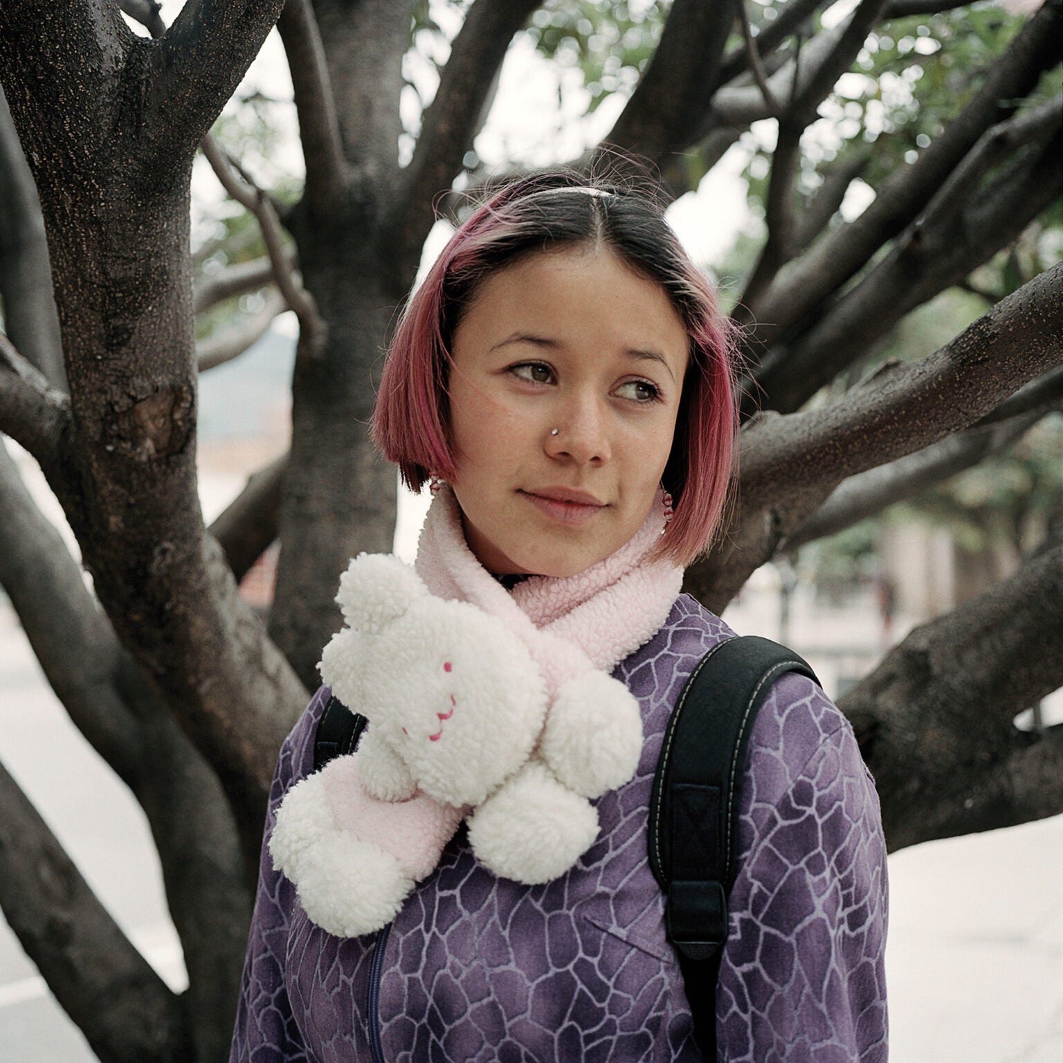 Alec Soth On Starting An Authentic Career in Photography | Popular ...