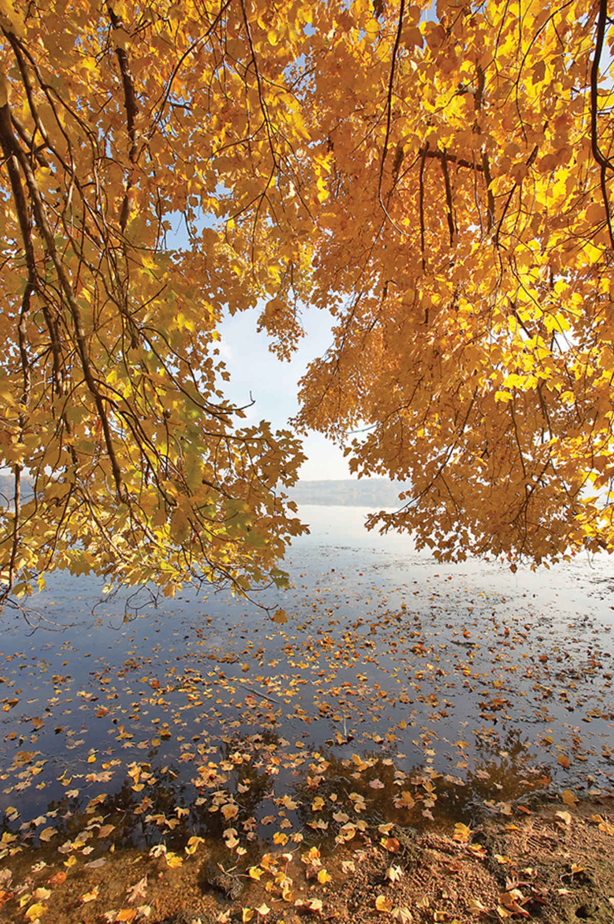 How To Make The Most Of Your Fall Photography | Popular Photography