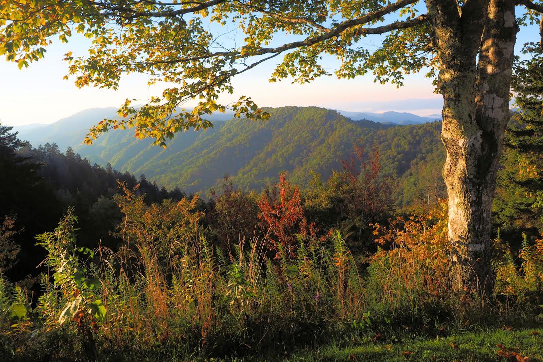 Mentor Series: Smoky Mountains | Popular Photography
