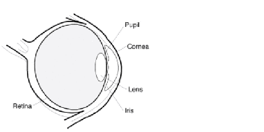 Gifpop Goes Live, Will Print Your GIFs | Popular Photography