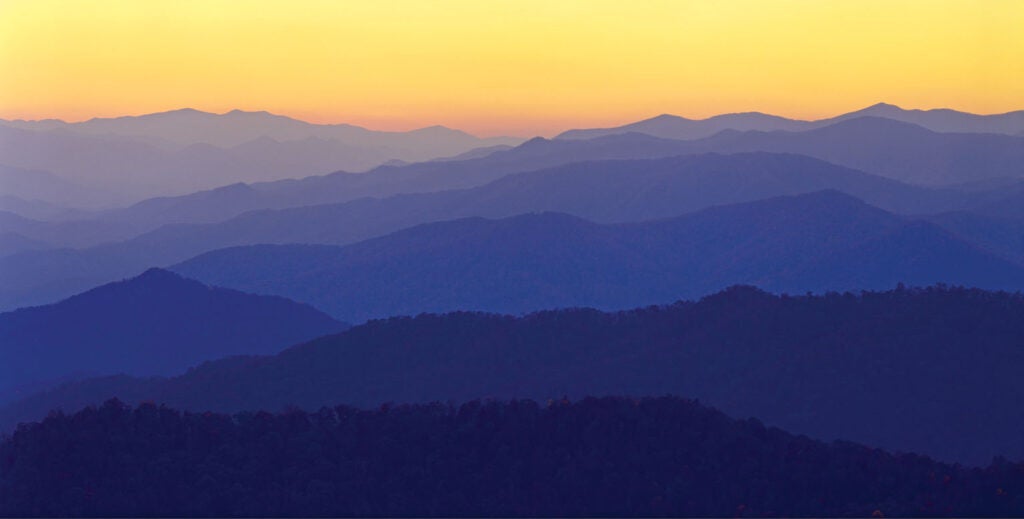 How To: Photograph Patterns in Nature | Popular Photography