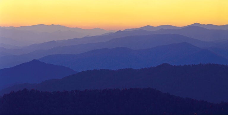 How To: Photograph Patterns in Nature | Popular Photography