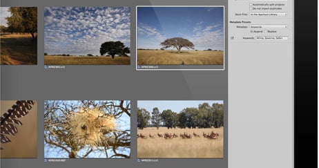 Apple Digital Camera RAW Update Brings Fujifilm Compatability