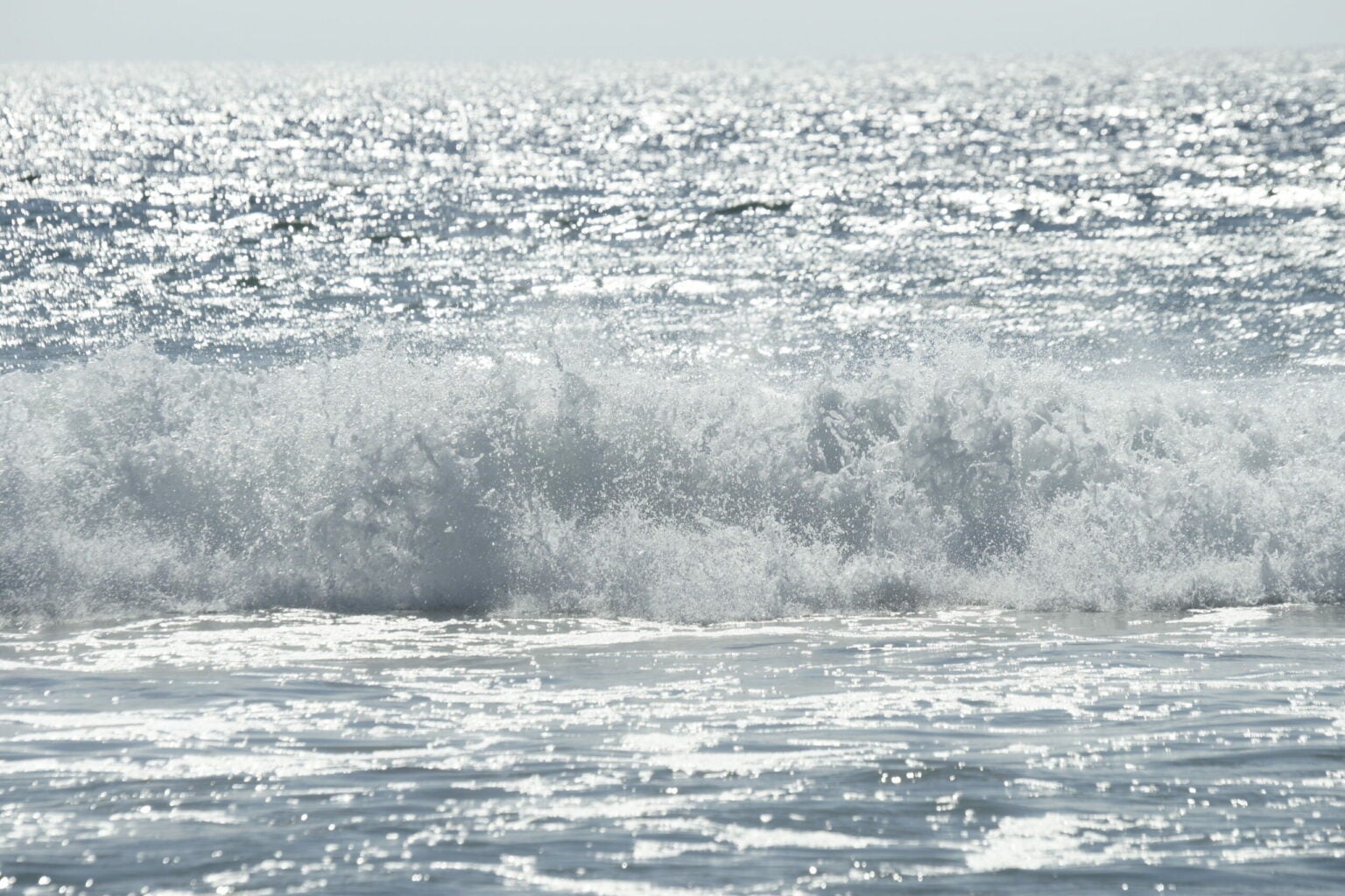 Sample Image Gallery: Sony A99 | Popular Photography