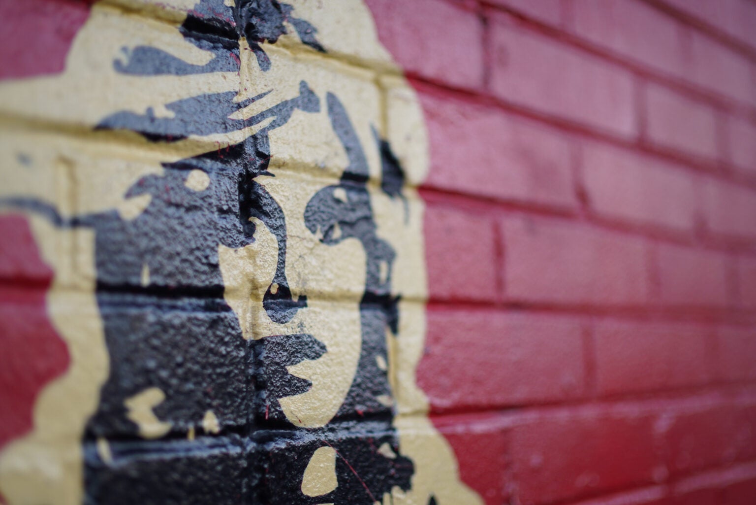 Sony A99 Mark II Sample Image Gallery | Popular Photography