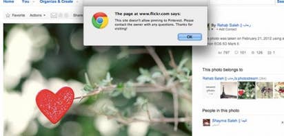 Flickr Blocking Pinterest From Sharing Some Images Due to Copyright