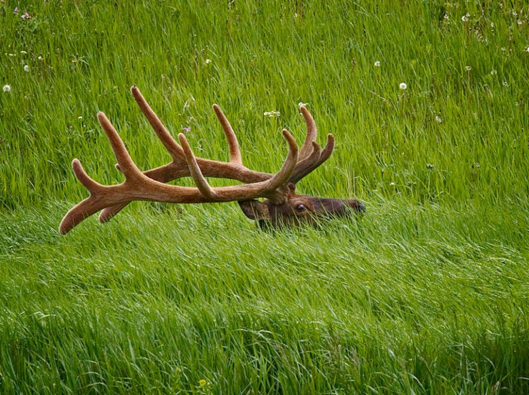 John Isaac: The Passion of a U.N. Photographer | Popular Photography