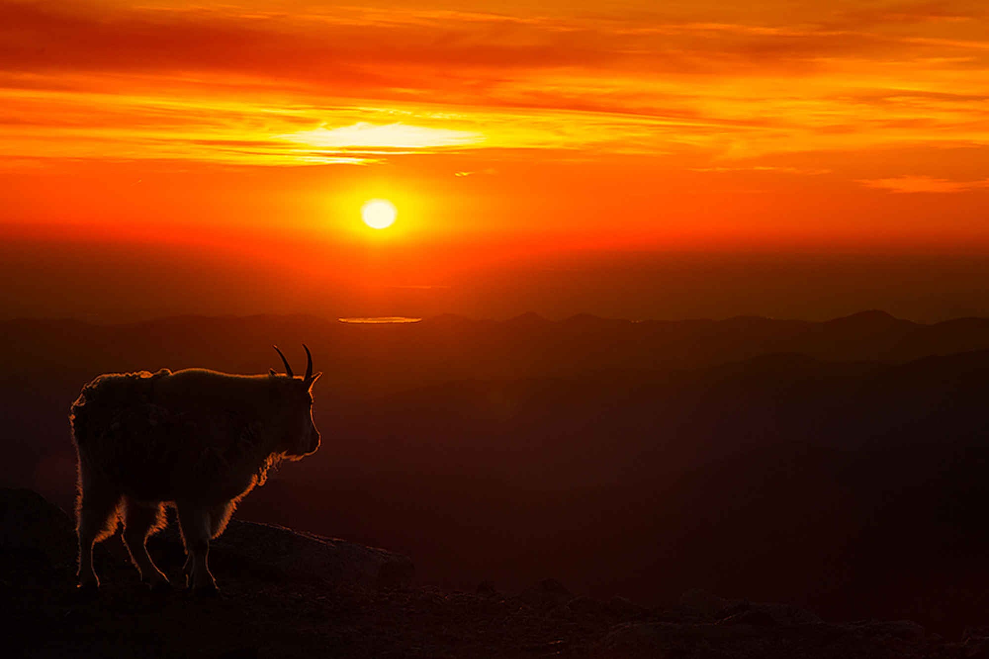 Your Best Shot Finalist Photo Gallery: November 2015 | Popular Photography