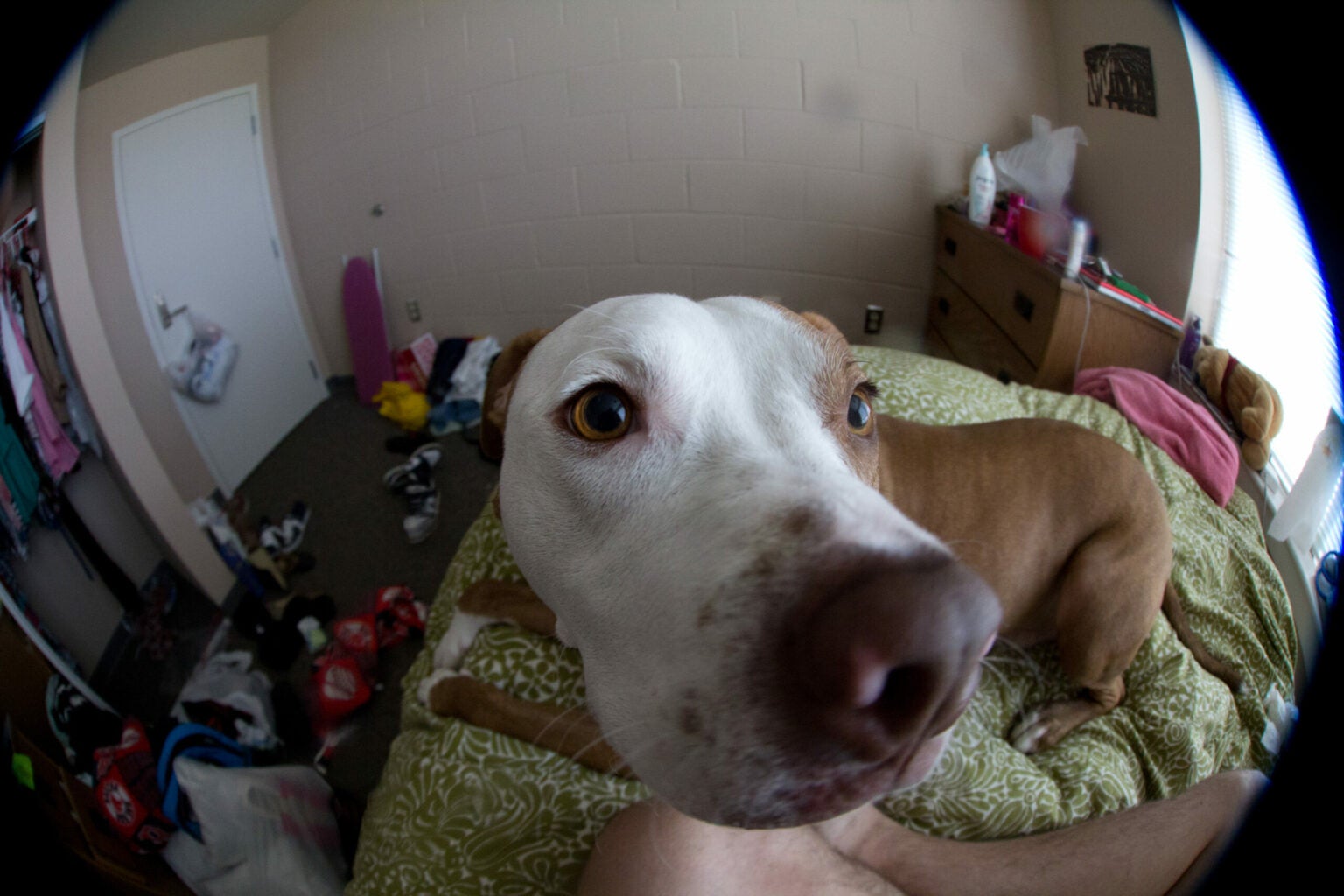 How To: Exaggerate Curves Using a Fisheye Lens | Popular Photography