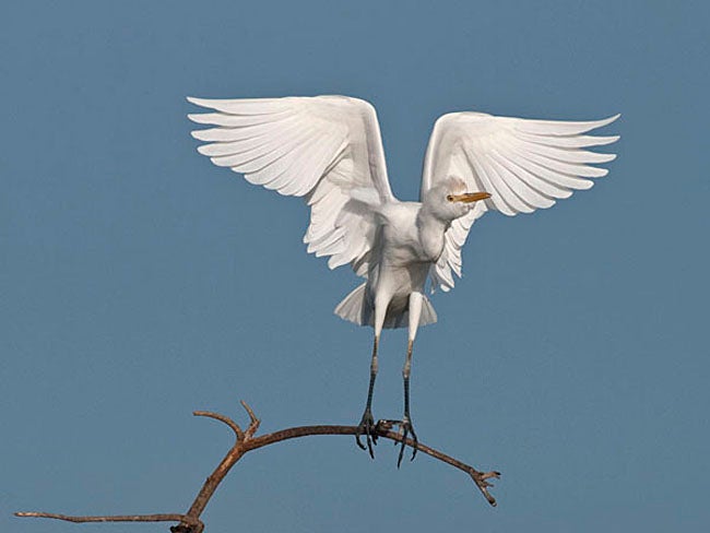 John Isaac: The Passion of a U.N. Photographer