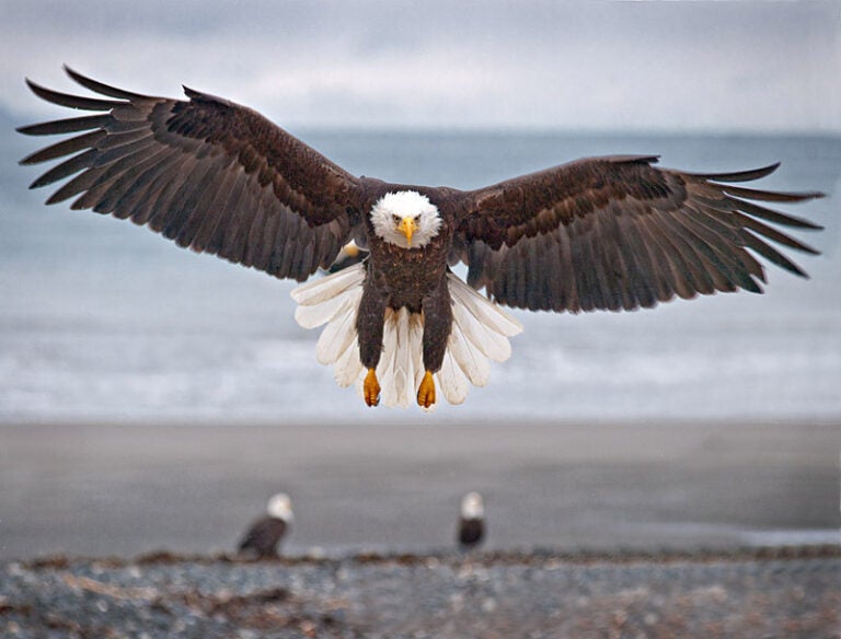 John Isaac: The Passion of a U.N. Photographer | Popular Photography